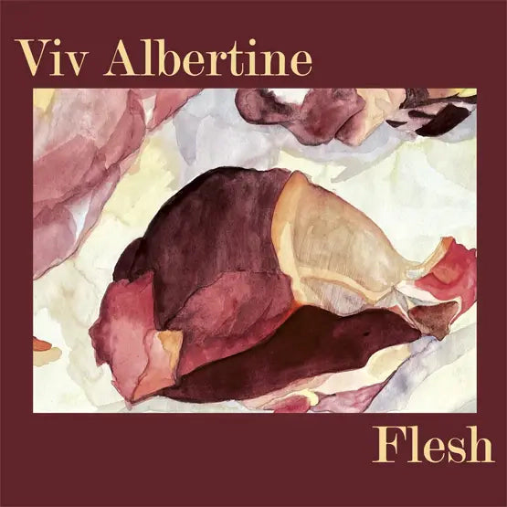 Viv Albertine - Flesh – Dash The Henge Store