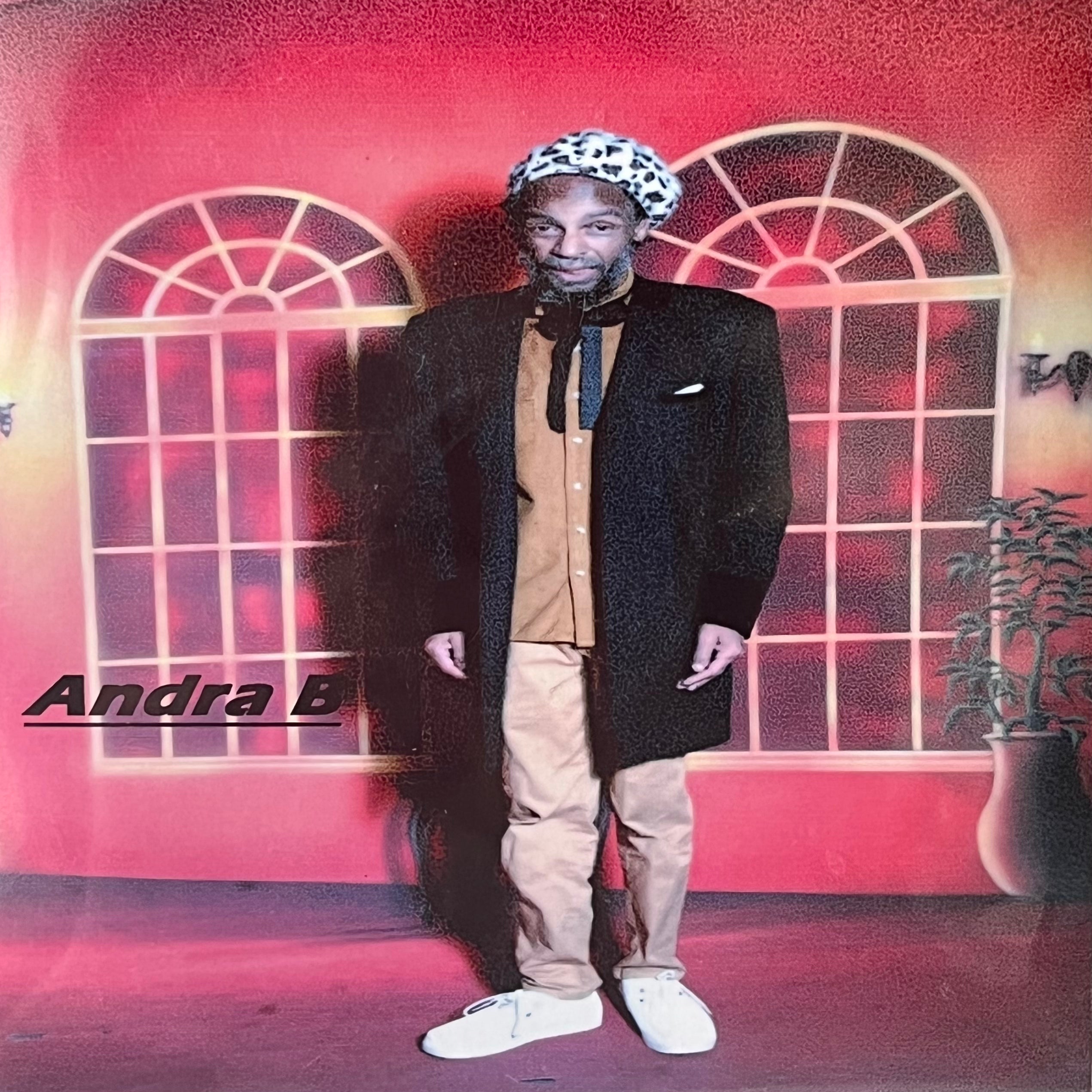 ANDRA B CD – Dash The Henge Store